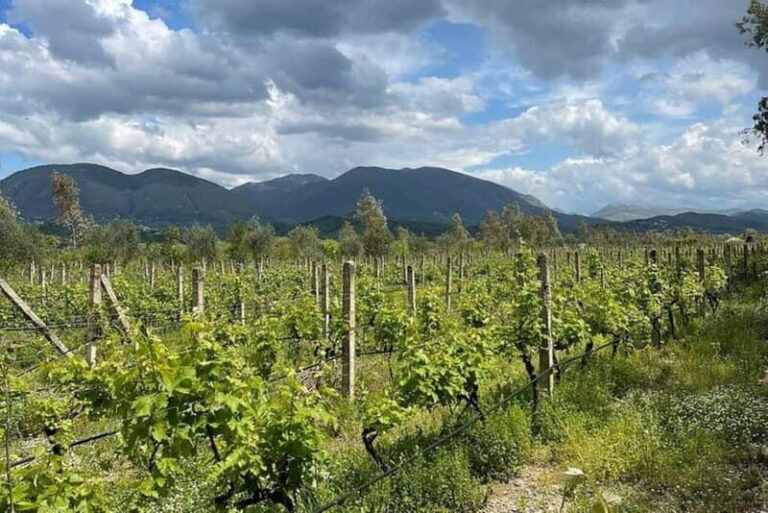 Sarande: Blue Eye & Lekuresi Tour w/ Wine Tasting - An Overall Balance of Experience and Value