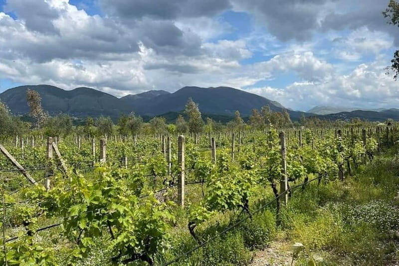Sarande: Blue Eye & Lekuresi Tour w/ Wine Tasting - An Overall Balance of Experience and Value