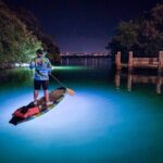 Sarasota - Clear Kayak LED Night Glass Bottom Tour - About the Tour Experience