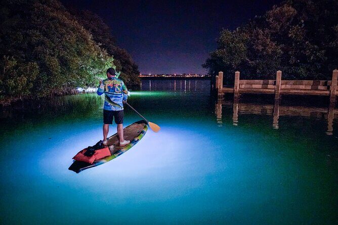 Sarasota - Clear Kayak LED Night Glass Bottom Tour - About the Tour Experience