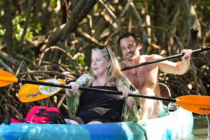 Sarasota Kayak and Food Tour - What to Expect on the Itinerary
