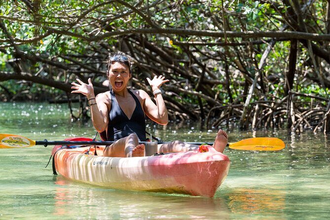 Sarasota Mangrove Tunnel Guided Kayak Adventure - An In-Depth Look: What Makes This Tour Special