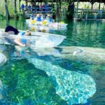 Sassys Silver Springs Kayak and Paddleboard Tours - The Itinerary Unpacked: What Makes Each Part Special