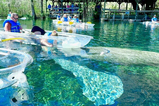 Sassys Silver Springs Kayak and Paddleboard Tours - The Itinerary Unpacked: What Makes Each Part Special