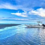 Savannah Coastal Dolphin Eco Tour - An In-Depth Look at the Savannah Coastal Dolphin Eco Tour