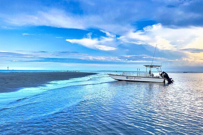 Savannah Coastal Dolphin Eco Tour - An In-Depth Look at the Savannah Coastal Dolphin Eco Tour