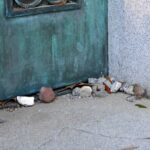 Savannah Haunted and Historical Walking Tour - The Experience and Its Highlights