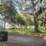 Savannah Irish History Walking Tour - Who Should Consider This Tour?