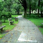 Savannah Stroll: Guided Sightseeing & History Walking Tour of Savannah - Starting Off in Reynolds Square