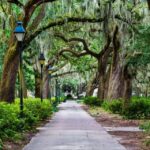 Savannah: 'We Shall Overcome' Black History Walking Tour - Practical Considerations: Value and Planning