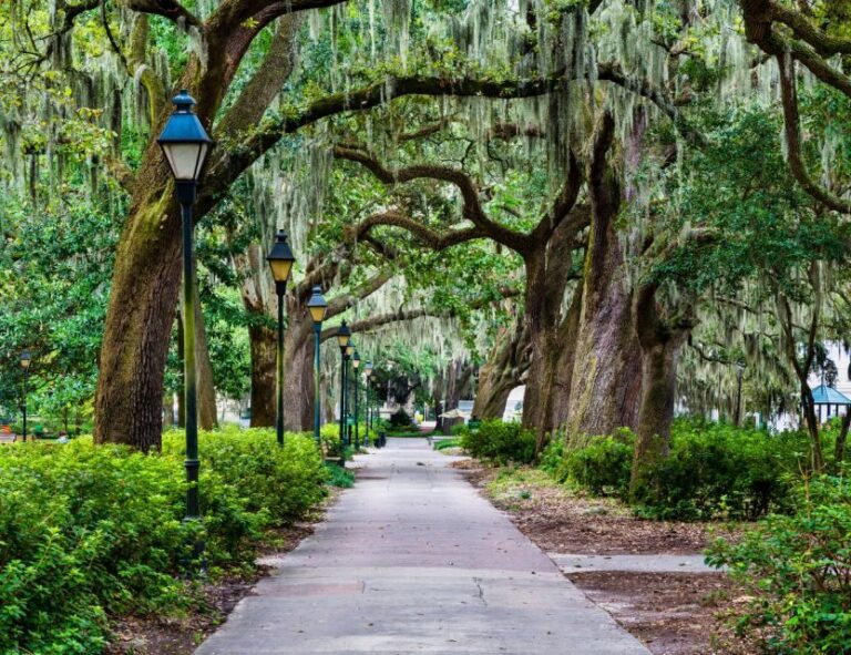 Savannah: 'We Shall Overcome' Black History Walking Tour - Practical Considerations: Value and Planning