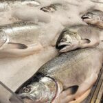 Savor the Sea: Guided Seafood Tasting at Pike Place Ma - Who Will Love This Tour?
