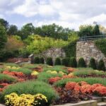 Scenic Blue Ridge Parkway Self-Guided Driving Audio Tour - The Experience: Pros and Cons