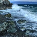 Scenic Coast and Wildlife Tour - Detailed Breakdown of the Itinerary
