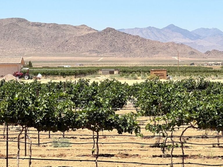 Scenic Desert Wine, Distillery Tastings/Brewery/RT66 & Lunch - What Makes This Tour Stand Out?
