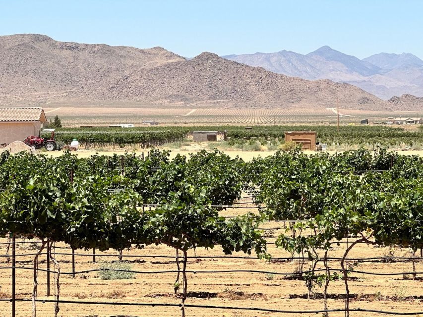 Scenic Desert Wine, Distillery Tastings/Brewery/RT66 & Lunch - What Makes This Tour Stand Out?