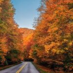 Scenic Driving Tour of the Blue Ridge Mountains - A Closer Look at the Itinerary