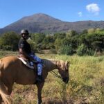 Scenic Horseback Ride, Wine Tasting & Lunch on Mt. Vesuvius - A Unique Blend of Nature, Culture, and Flavor on Mt. Vesuvius