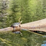 Scenic Sebago Lake Historical Tour - Is It Worth the Price?