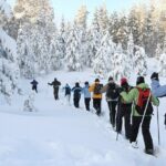 Scenic Sunset Snowshoe Tour - What Travelers Say and Why It Matters