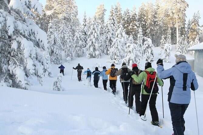 Scenic Sunset Snowshoe Tour - What Travelers Say and Why It Matters