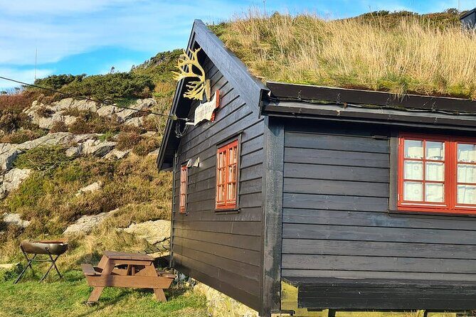 Scenic tour to Steinsfjellet, locals at Kringsjå & Rising Tide - What We Think of the Value
