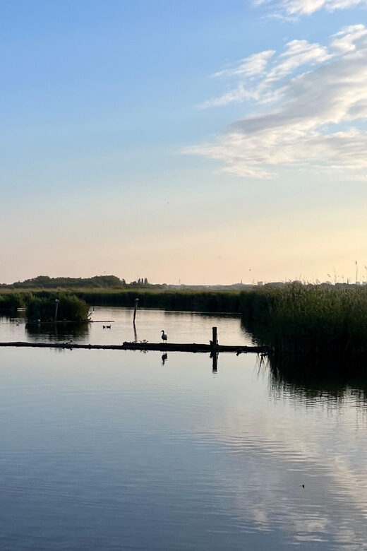 Schipluiden: Private Boat Tour to Rotterdam - Schipluiden: Private Boat Tour to Rotterdam