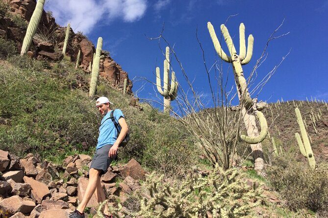Scottsdale Desert Classic Guided Hiking Adventure - The Itinerary in Detail