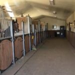 Scottsdale Horseback Riding and Horse Country Estate Tour - The Value of the Experience: More Than Just a Ride