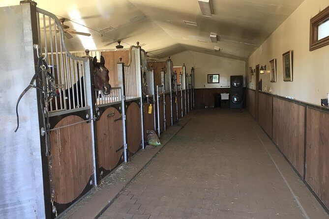 Scottsdale Horseback Riding and Horse Country Estate Tour - The Value of the Experience: More Than Just a Ride