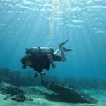 SCUBA Dive at Electric Beach with Photos -No Certification Needed - Final Thoughts: Is It Worth It?