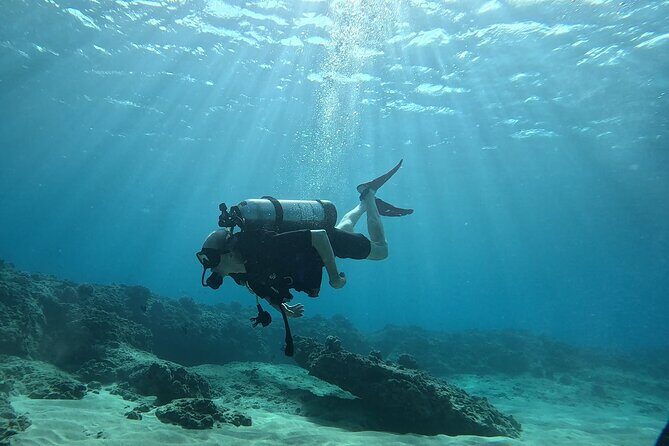 SCUBA Dive at Electric Beach with Photos -No Certification Needed - Final Thoughts: Is It Worth It?