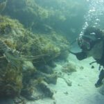 SCUBA Dive Key Largo Reef (min 6 divers) - Authentic Experiences from Past Participants