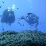 Scuba Diver Course - What Makes This Course Stand Out