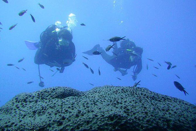 Scuba Diver Course - What Makes This Course Stand Out