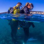 Scuba Diving Baptism Experience in Santa Cruz Tenerife - What the Reviews Highlight Most