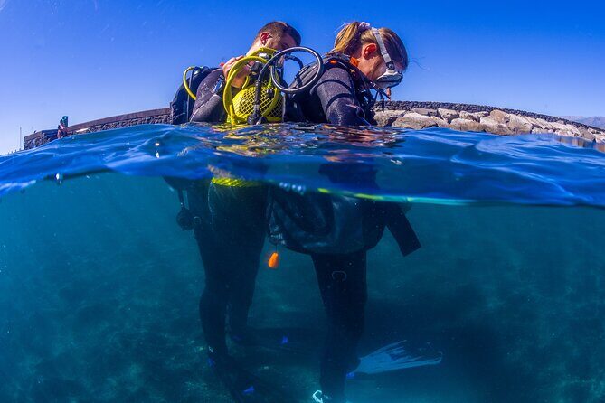 Scuba Diving Baptism Experience in Santa Cruz Tenerife - What the Reviews Highlight Most