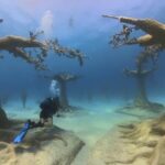 Scuba Diving Experience & MUSAN Dive + Free Edited Video 2xdives - An In-Depth Breakdown of the Experience