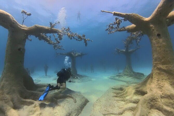 Scuba Diving Experience & MUSAN Dive + Free Edited Video 2xdives - An In-Depth Breakdown of the Experience