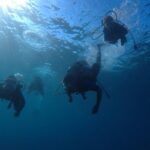 Scuba Diving For Beginners - The Practical Aspect: Logistics and What to Expect