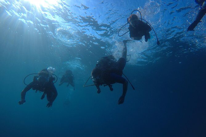 Scuba Diving For Beginners - The Practical Aspect: Logistics and What to Expect