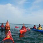 Sea Kayak to an Island Tour in Casco Bay - Practical Tips for Participants