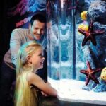 SEA LIFE Aquarium Arizona Admission Ticket - The Sum Up