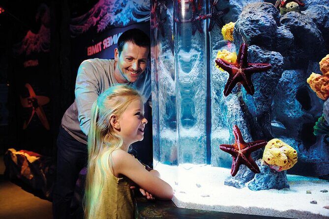 SEA LIFE Aquarium Arizona Admission Ticket - The Sum Up