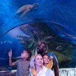 SEA LIFE Aquarium Grapevine Admission Ticket - The Itinerary and Its Highlights