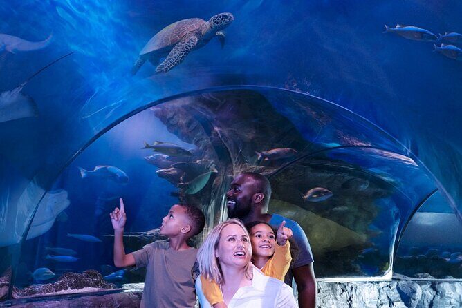 SEA LIFE Aquarium Grapevine Admission Ticket - The Itinerary and Its Highlights