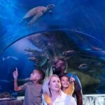 SEA LIFE Aquarium Minnesota Admission Ticket at Mall of America - Practical Tips for Visiting