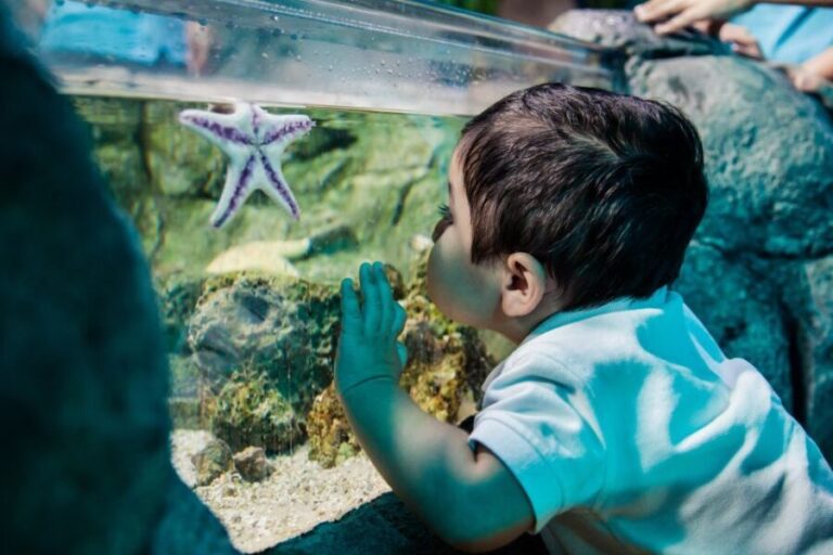 SEA LIFE Arizona Aquarium General Admission - Who Will Love SEA LIFE Arizona Aquarium?