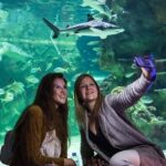 SEA LIFE Brighton Admission Ticket - The Value of the Experience
