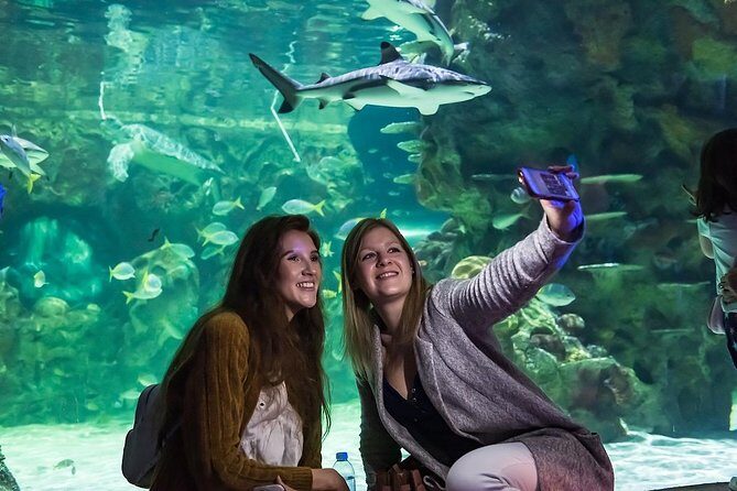 SEA LIFE Brighton Admission Ticket - The Value of the Experience